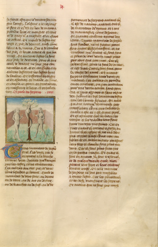 Unknown:Adam and Eve with the Serpent,16x12"(A3)Poster