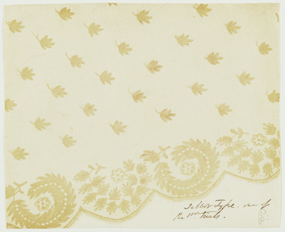 William Henry Fox Talbot:[Lace, Made Within the Circle of Ta,16x12"(A3 ...