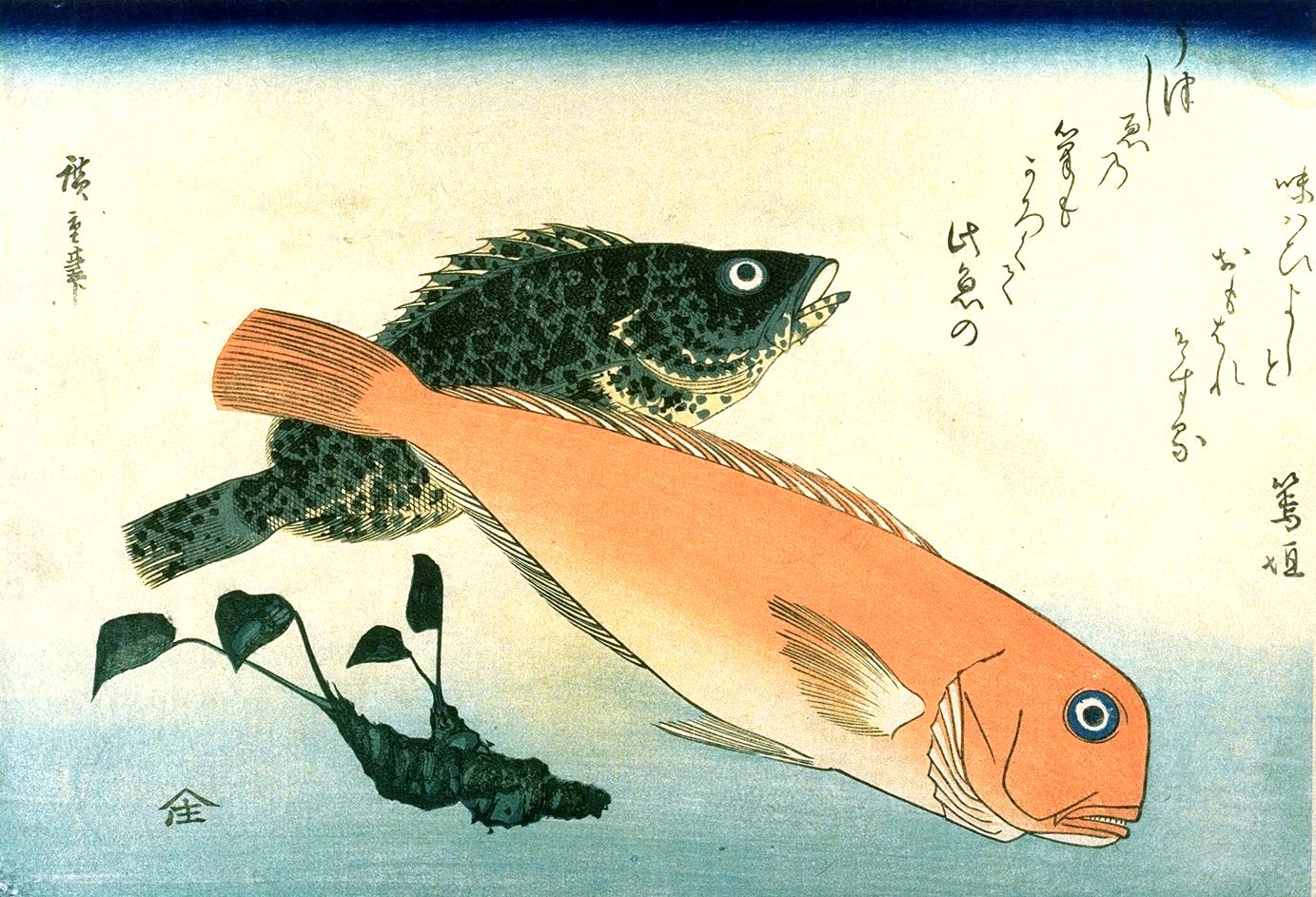 Manga #083b, historic, vintage ukiyo-e Japan artwork, A3 (16x12") Repr ...