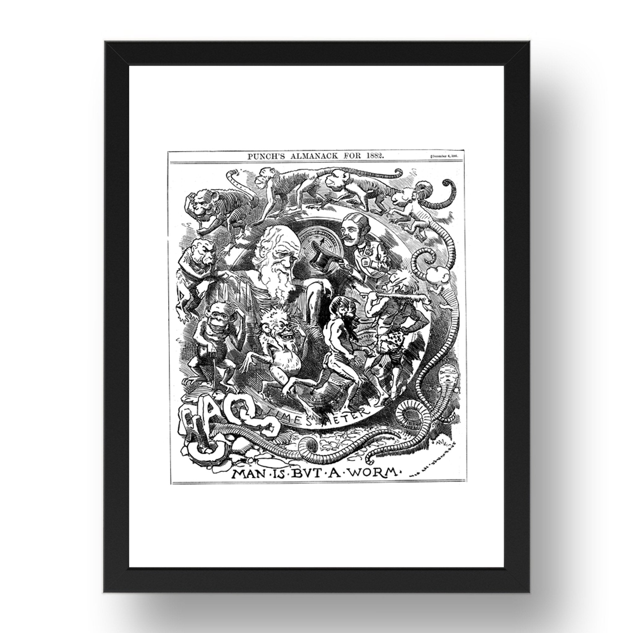 Charles Darwin 'Man Is But A Worm' satirical 1882 sketch, vintage hist ...