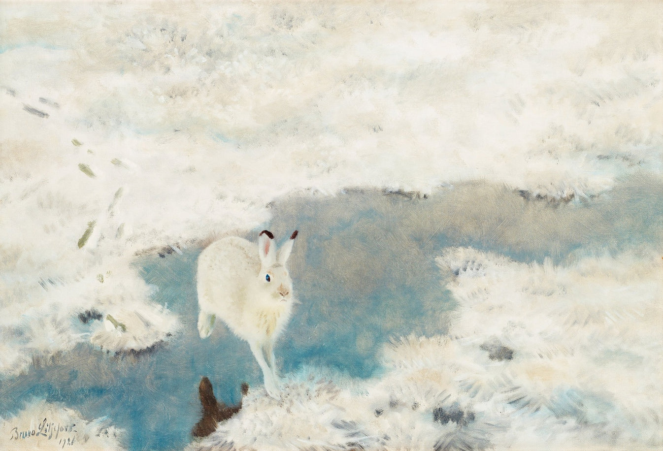 Hare in a Winter Landscape, vintage artwork by Bruno Liljefors, Poster ...