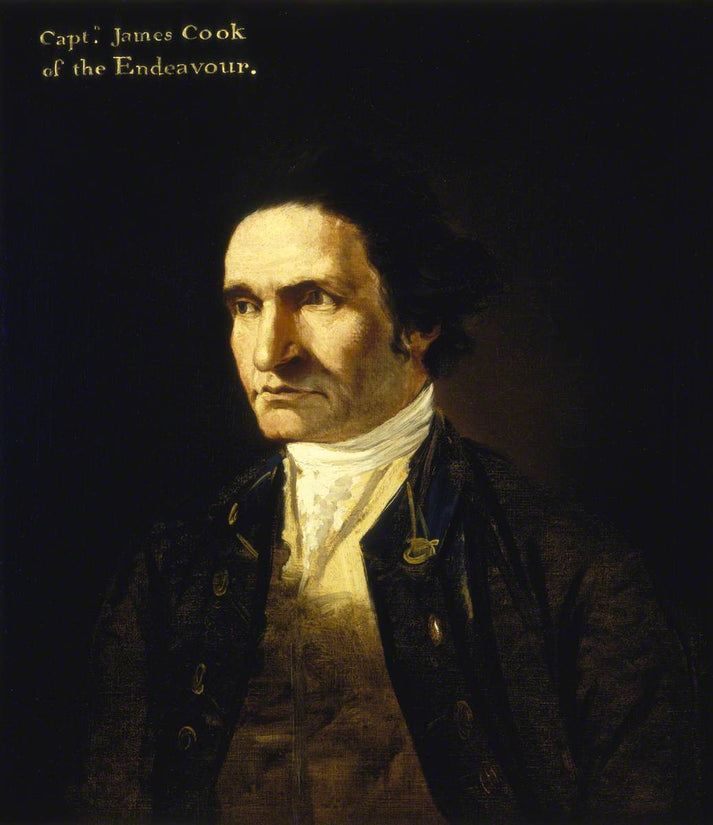 Captain James Cook (1728–1779), vintage artwork by William Hodges, vin ...