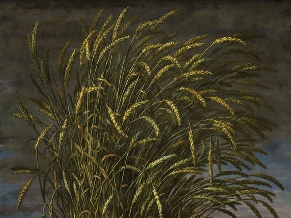 Cespuglio di spighe di grano di Francesco Magnelli,, vintage artwork b ...
