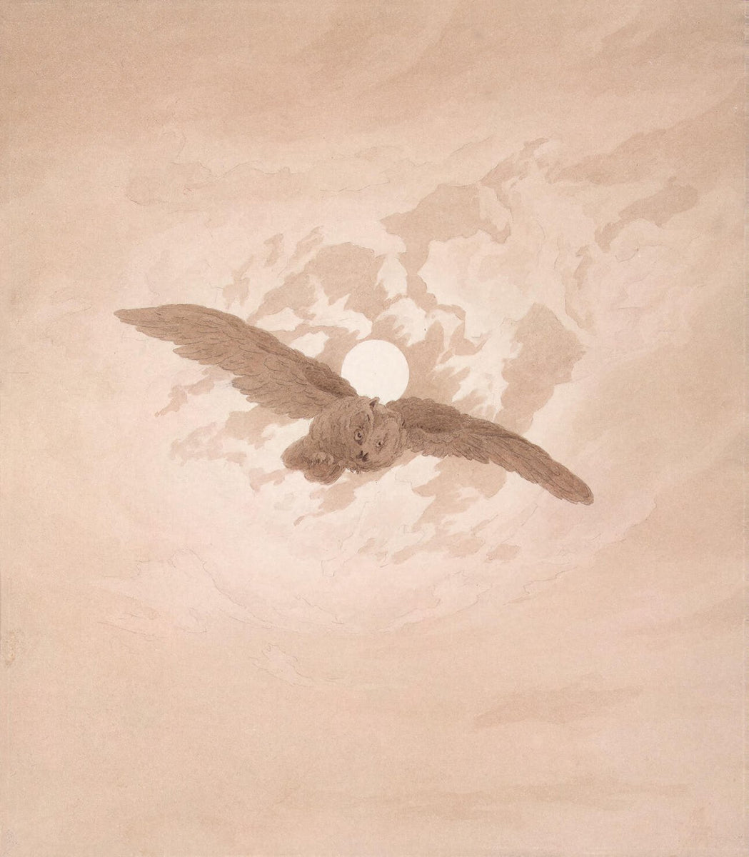 Owl Flying against a Moonlit Sky, vintage artwork by Caspar David Frie ...
