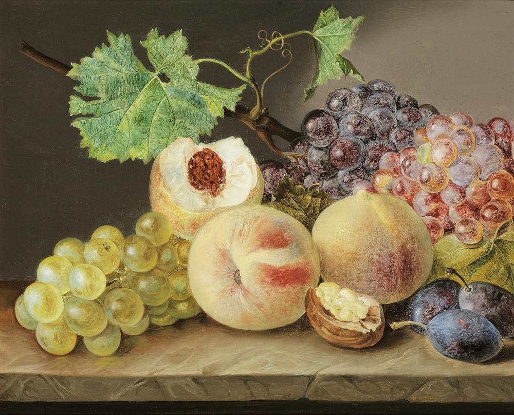 Still life with peaches, grapes, plums and walnut by Franz Xavier Pett ...
