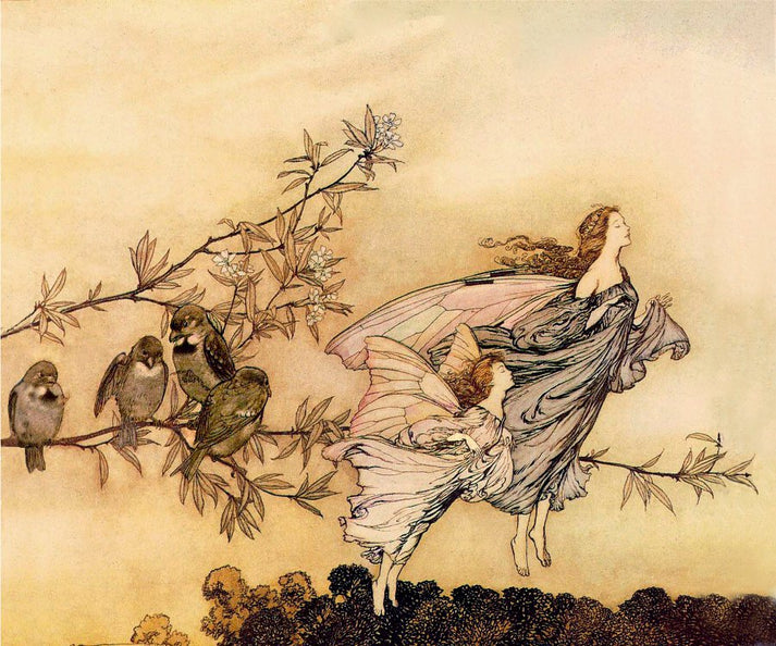 The fairies have their tiffs with the birds, vintage artwork by Arthur ...