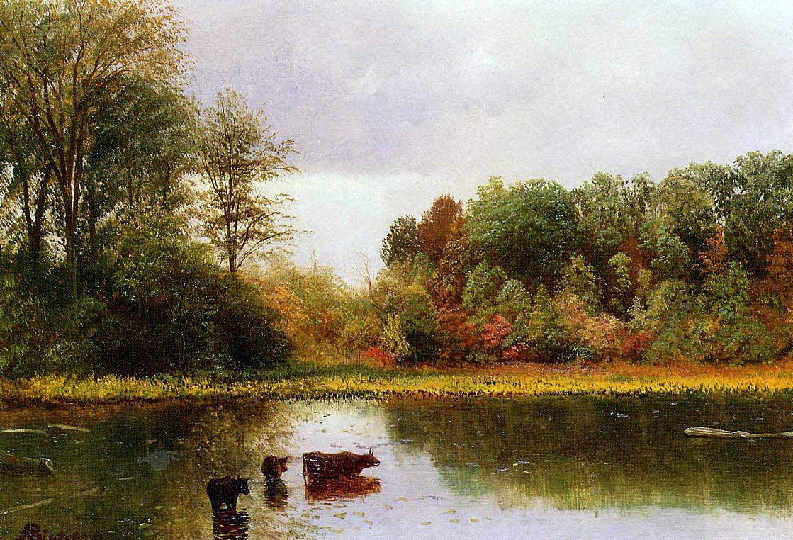 Cows Watering in a Landscape, vintage artwork by Albert Bierstadt, A3 ...